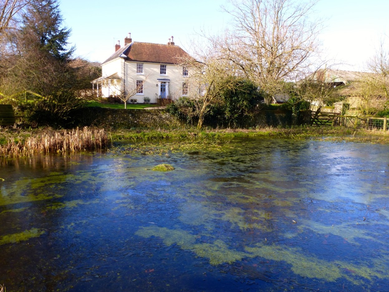 east meon – Falling Awake